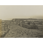 Herding cattle along the Point Samson Jetty. - State Library of Western ...