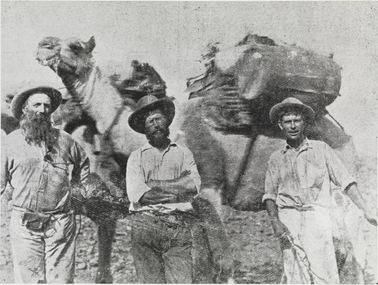 Gillies MacPherson, W. Johnston and J.C. Peterkin leaving Nannine on a ...