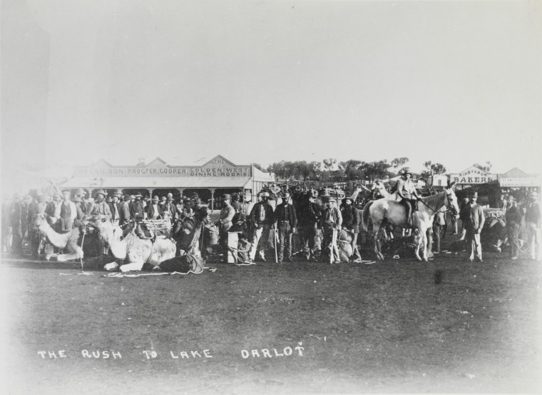 The rush to Lake Darlot. - JPG 95.3 KB