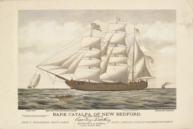 Bark Catalpa, of New Bedford / - JPG 96.7 KB