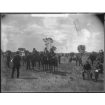 The Katanning Show, 29 October 1913. - JPG 96.0 KB