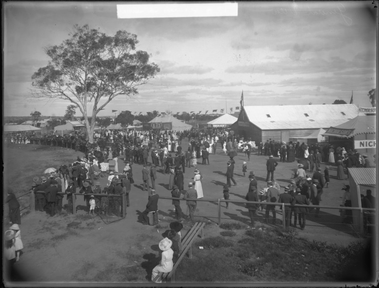 The Katanning Show, 29 October 1913. - JPG 108.5 KB