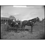 The Katanning Show, 30 October 1912. - JPG 114.1 KB