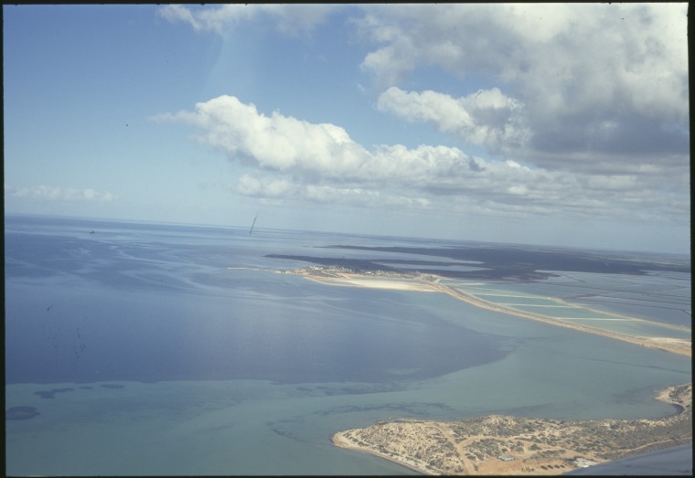 Useless Loop. - JPG 63.1 KB