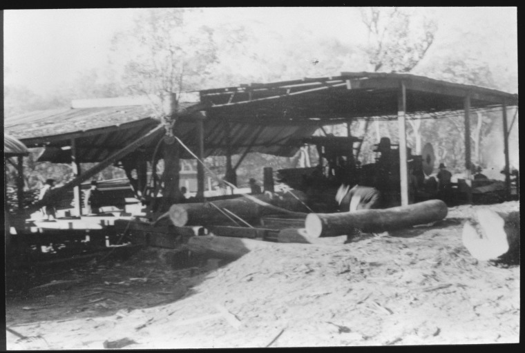 Copies of old photographs of Whittakers timber mills from about 1910 ...