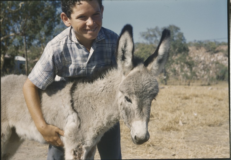 Lyndon Cranswick with a donkey at Forrest River Mission. - JPG 106.4 KB