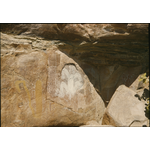 Rock paintings near Forrest River Mission. - JPG 157.3 KB