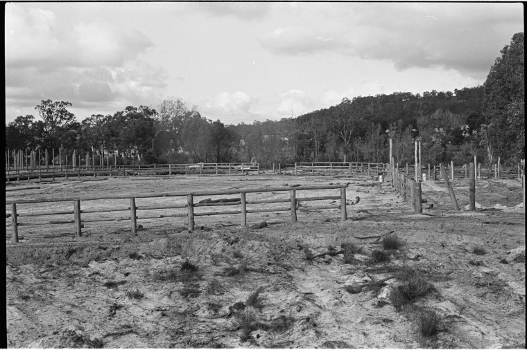 The Boddington Rodeo Arena. - JPG 138.6 KB