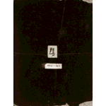 Emily F. Badock journal and Fred Barlee scrapbooks.