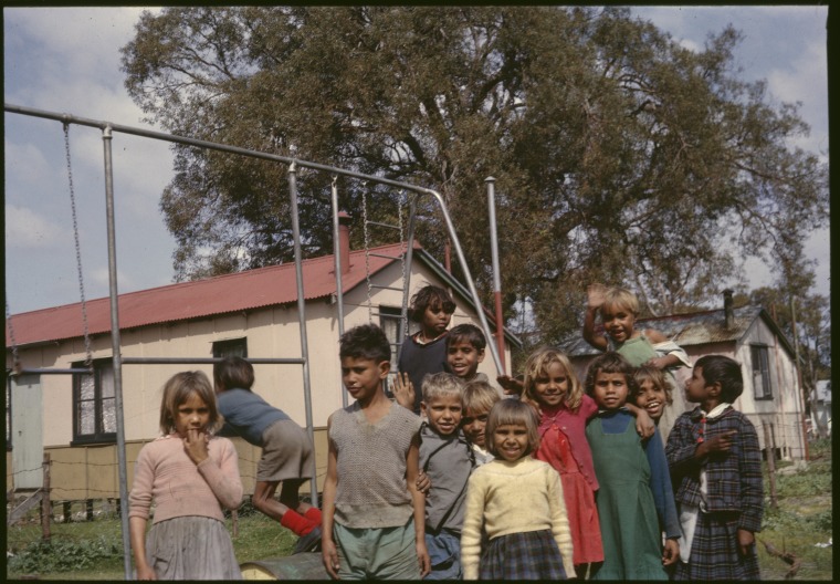 Children on play equipment at Allawah Grove. - JPG 139.4 KB