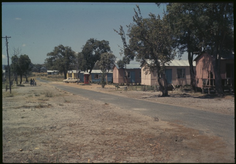 Houses at Allawah Grove, 26 February 1960. - JPG 115.6 KB