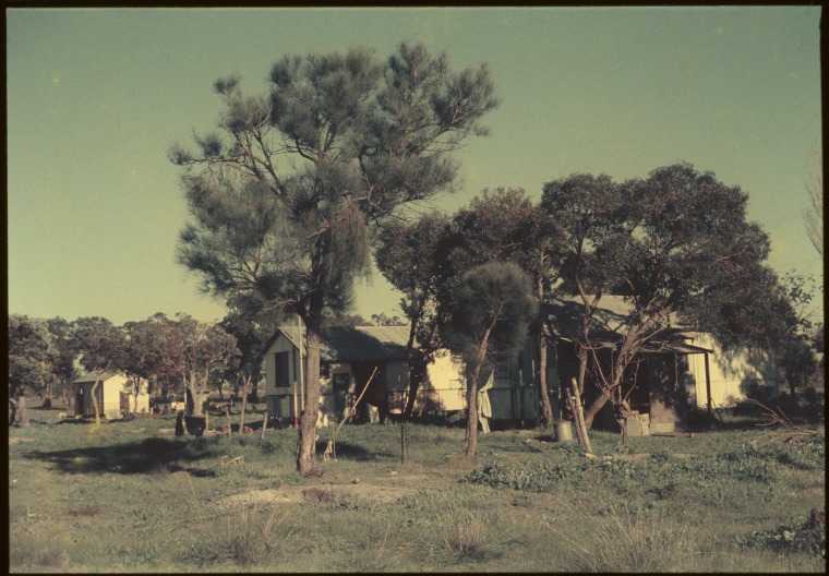 Back view of houses at Allawah Grove. - JPG 129.6 KB