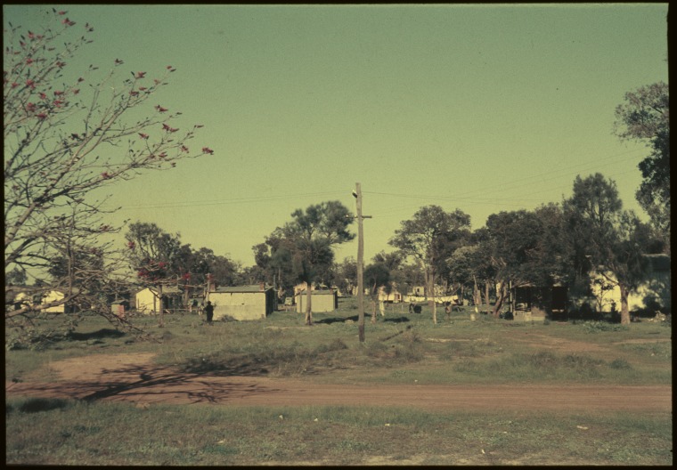 Allawah Grove seen from the hall. - JPG 115.4 KB