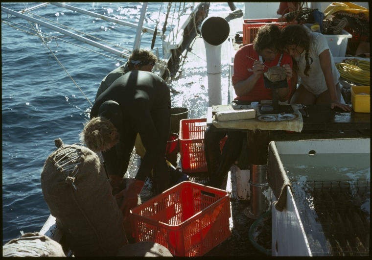 Diving for pearls and seeding new ones on the lugger DMcD (B5) off ...