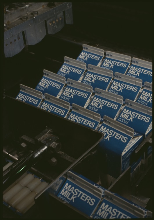 Working in Masters Dairy, Welshpool. - JPG 83.8 KB