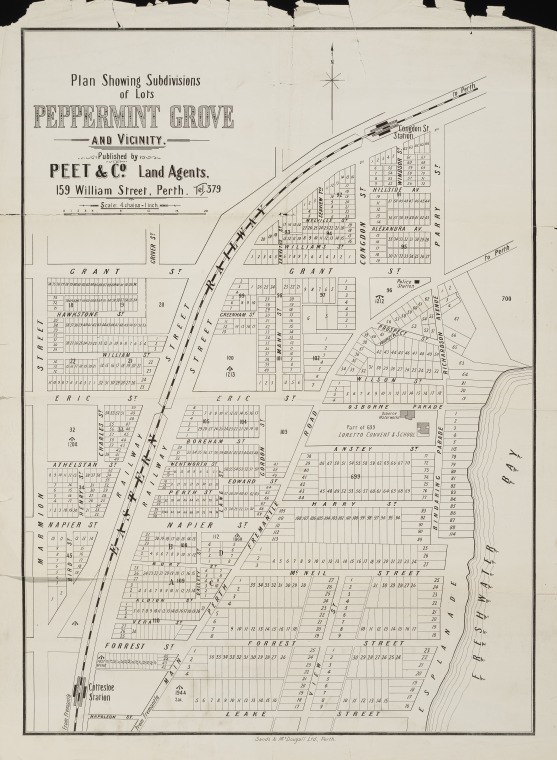Plan showing subdivisions of lots Peppermint Grove and vicinity / - JPG ...