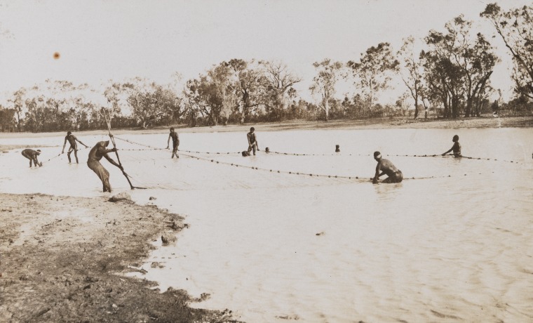 Aboriginal men netting fish on Meda Station, November 1921. - JPG 98.3 KB