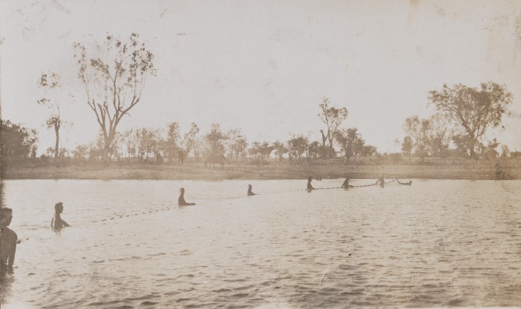 Aboriginal men netting fish on Meda Station, November 1921. - JPG 80.5 KB
