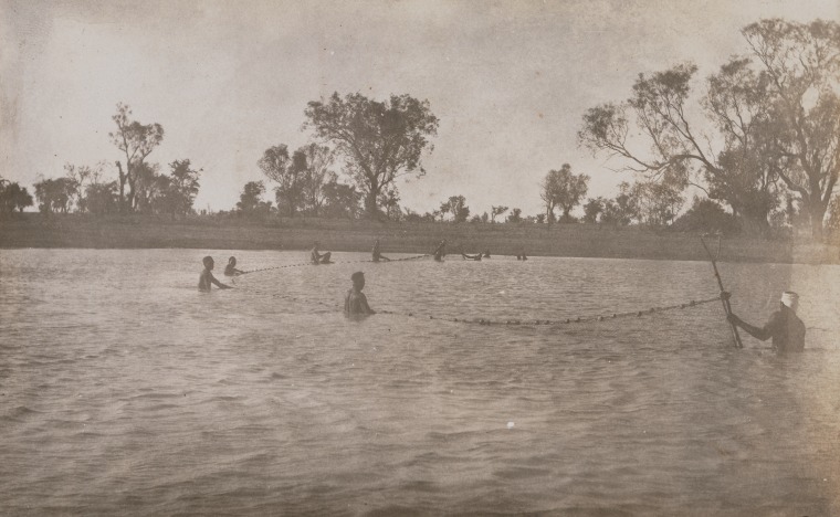 Aboriginal men netting fish on Meda Station, November 1921. - JPG 93.5 KB