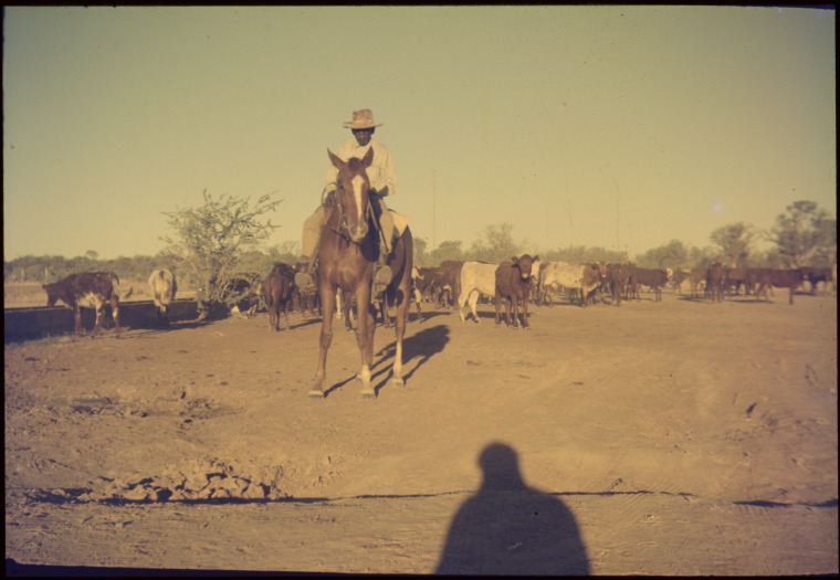 Aboriginal stockmen, the Kimberley, Western Australia. - JPG 80.6 KB