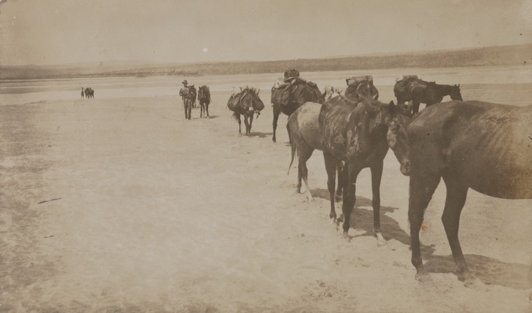 A mounted police patrol crossing Walcott Inlet at low tide - a ...