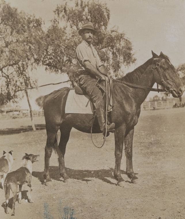 Ray Russ, stockman. - JPG 134.1 KB