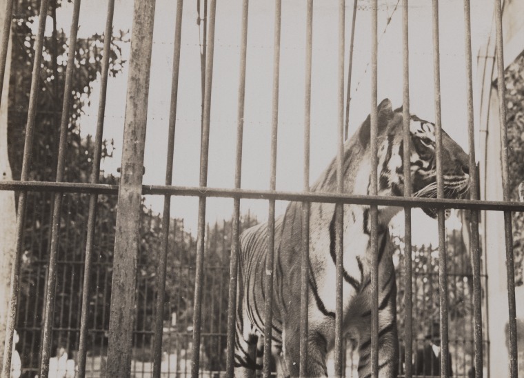 Members of the Rea family at Perth Zoo. - JPG 117.1 KB