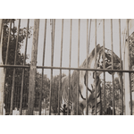 Members of the Rea family at Perth Zoo.