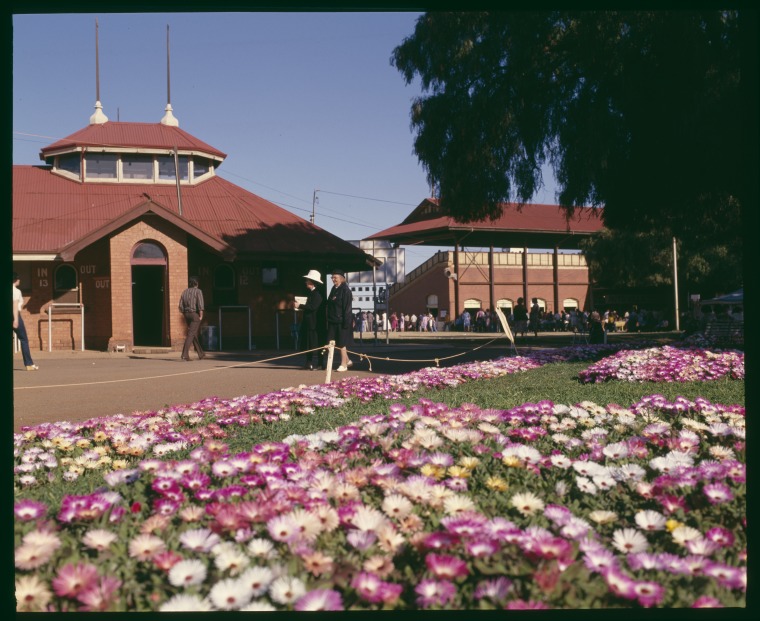Horse racing, Kalgoorlie Race Course, 18 July 1981. - JPG 142.1 KB