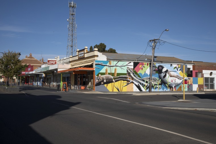 Mural of local fauna by Brenton See on the wall of Cafe On Clive corner ...