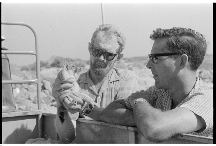 Environmental consultant Harry Butler and Leary O'Connor examining ...