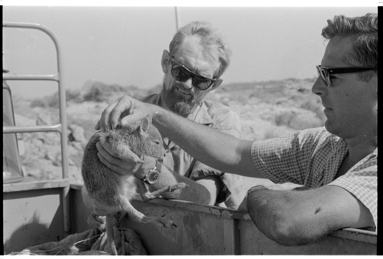 Environmental consultant Harry Butler and Leary O'Connor examining ...