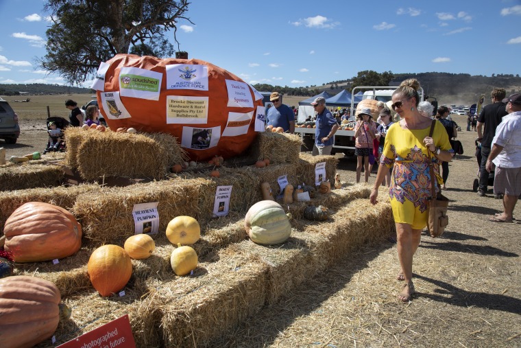Bullsbrook Country Fair, 8 April 2018. - JPG 168.3 KB