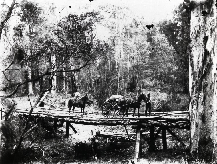 Bridge over the Kent River, built by Bert Saw and W.J. Cooper, Western ...