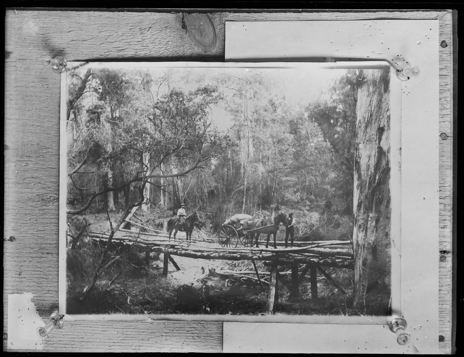 Bridge over the Kent River, built by Bert Saw and W.J. Cooper, Denmark ...