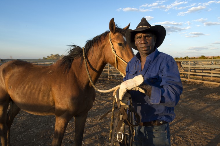 John Echo horse whisperer, Warmun, August 2018. - JPG 104.7 KB