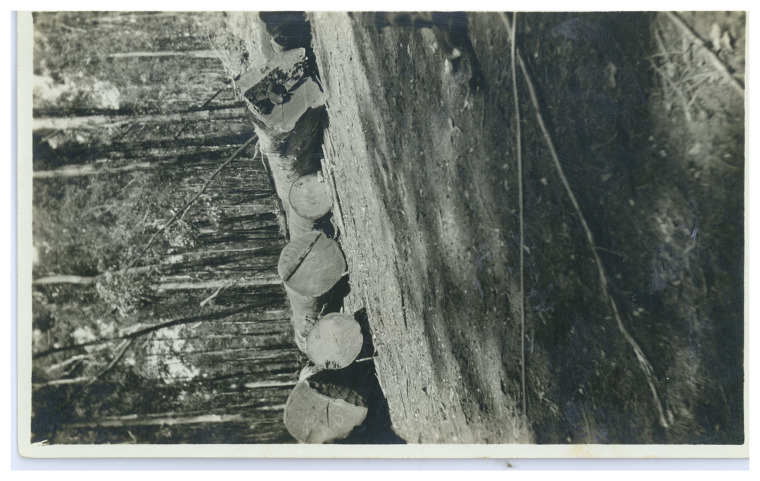 Alfred Gordon Dempsey collection of photographs. - JPG 131.4 KB