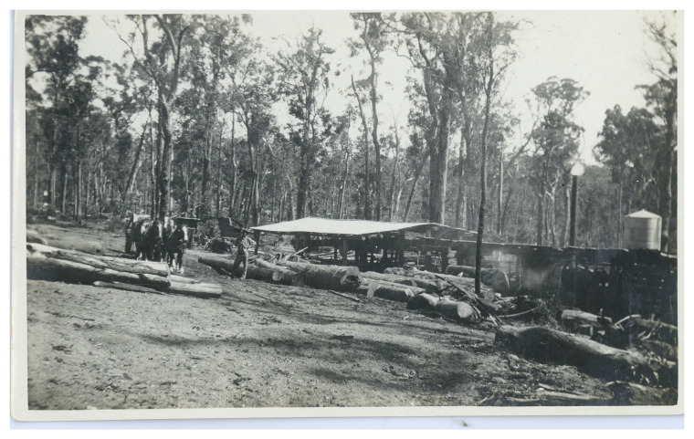 Alfred Gordon Dempsey collection of photographs. - JPG 142.0 KB