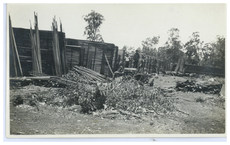 Alfred Gordon Dempsey collection of photographs. - JPG 134.4 KB