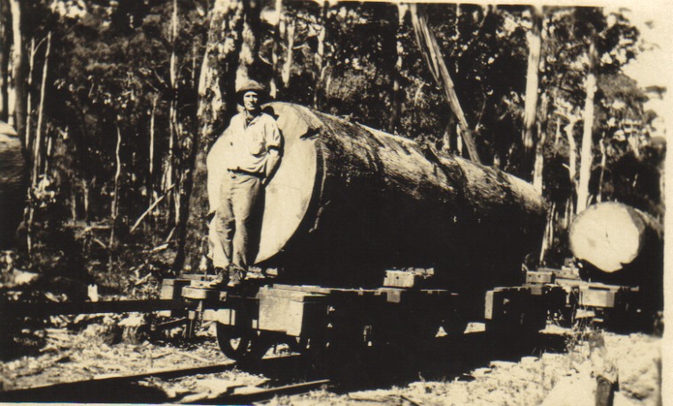 Alfred Gordon Dempsey collection of photographs. - JPG 122.2 KB