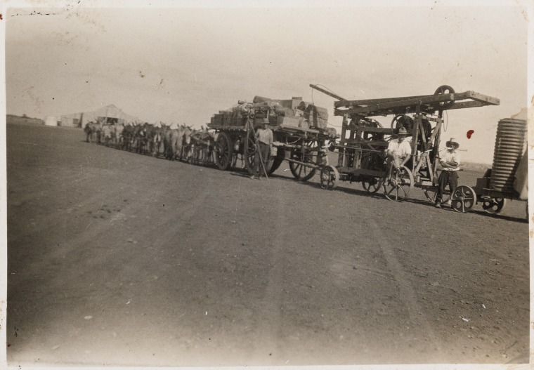 Donkey team hauling farm machinery, possibly at Myroodah Station ...