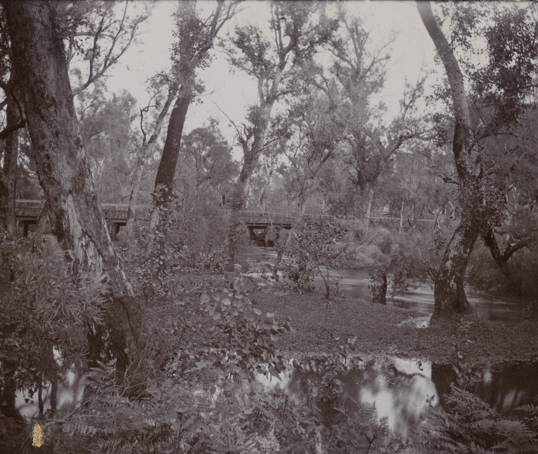 A bridge in the bush, Western Australia. - JPG 190.0 KB