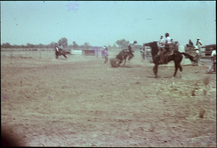 Rodeo at Derby, Western Australia. - JPG 115.2 KB