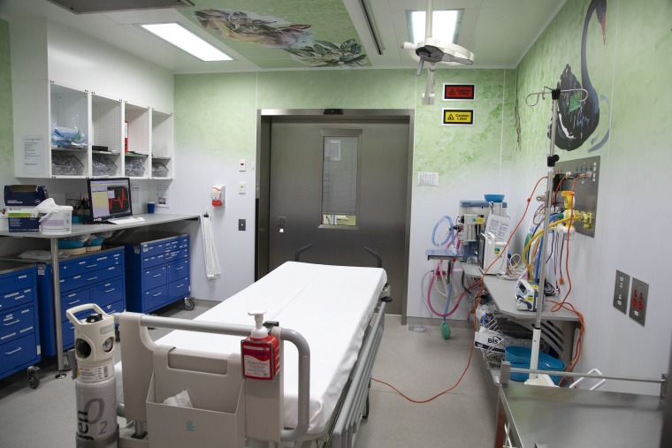 Perth Children's Hospital operating theatres, 12 March 2019. - JPG 96.2 KB