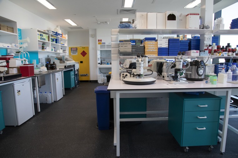 Telethon Kids Institute on levels 6 and 7 of Perth Children's Hospital ...