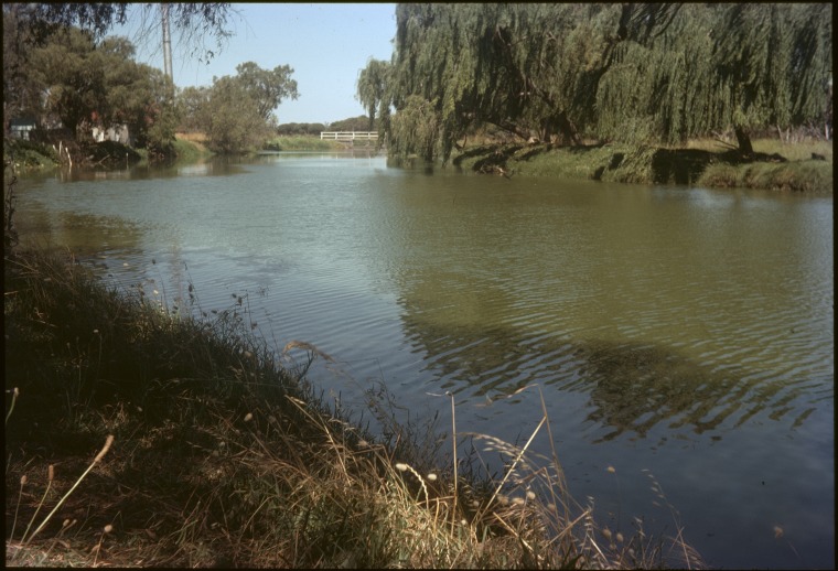 Vasse River, Busselton, Western Australia. - JPG 123.4 KB