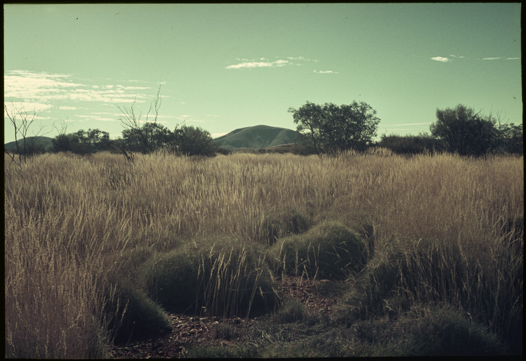 Landscapes near Tom Price, Western Australia. - JPG 533.8 KB