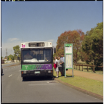 A Transperth bus on the CircleRoute, 11 December 1997.