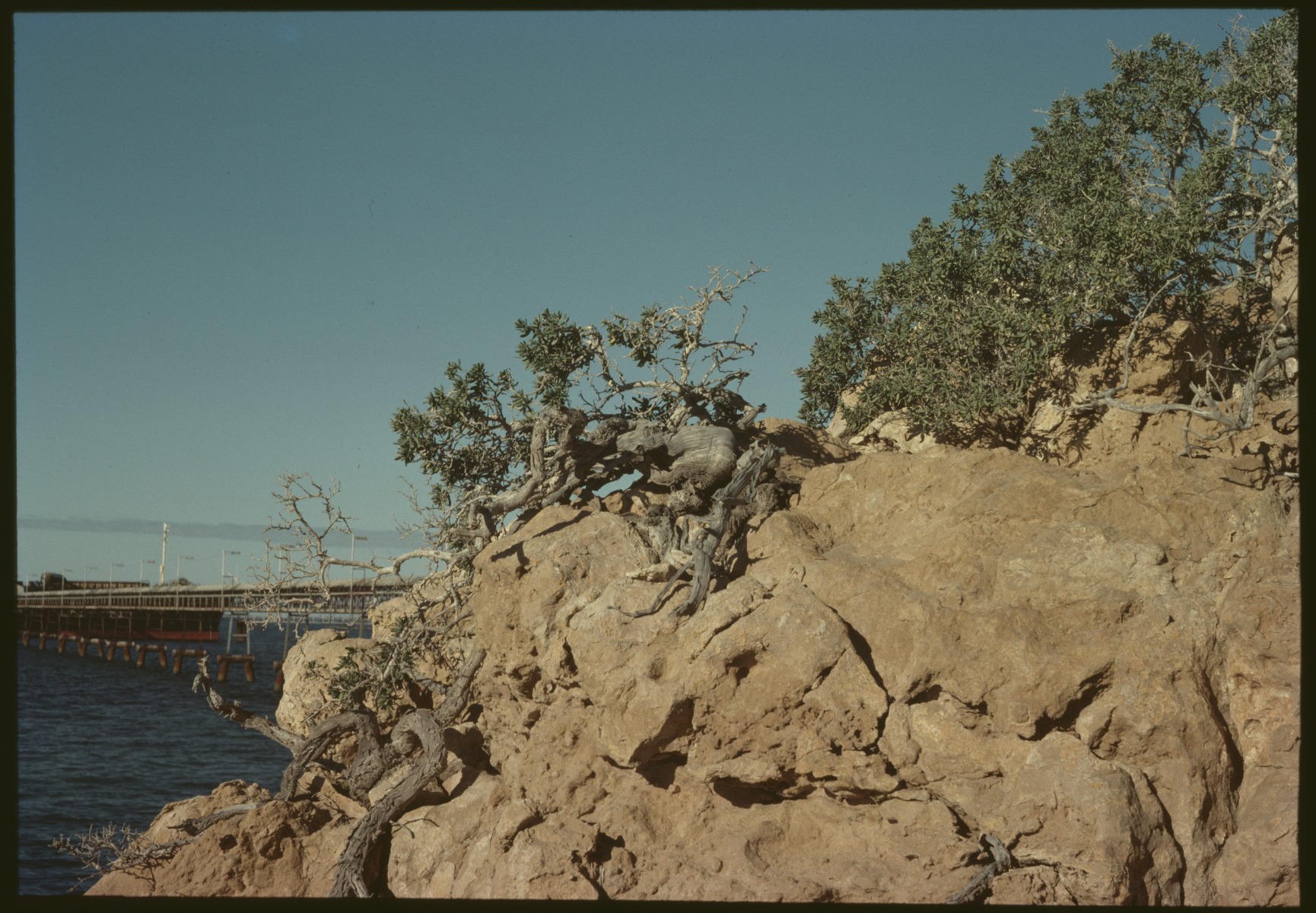 Japanese Ship Hijiri Maru loading salt at Slope Island, Useless Loop ...