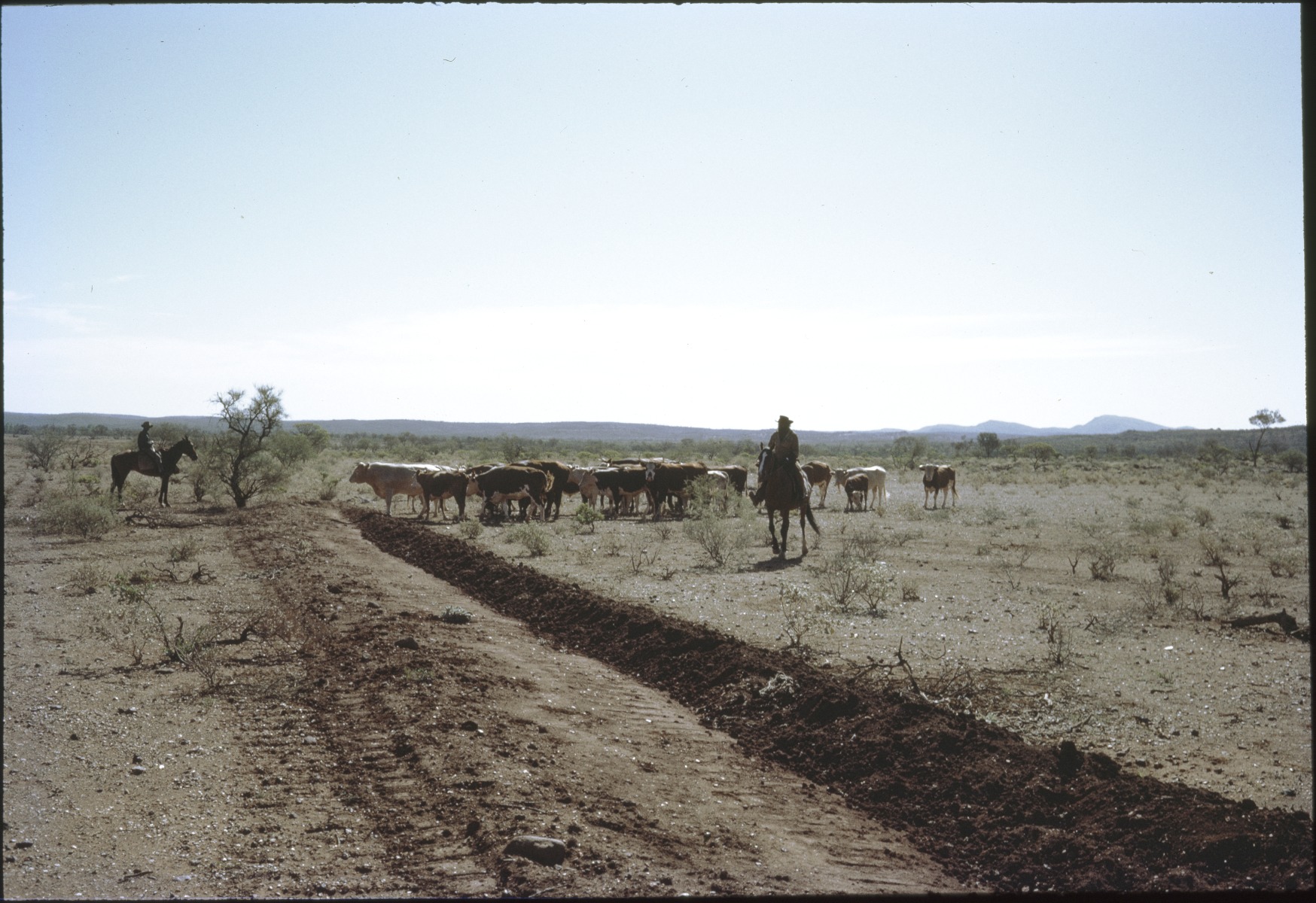 Indigenous stockmen at Rocklea Station near Paraburdoo on Paraburdoo ...